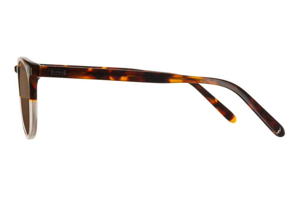 Tortoise Clear Fade Jupiter Frames with AMP Color Enhancing Brown ...