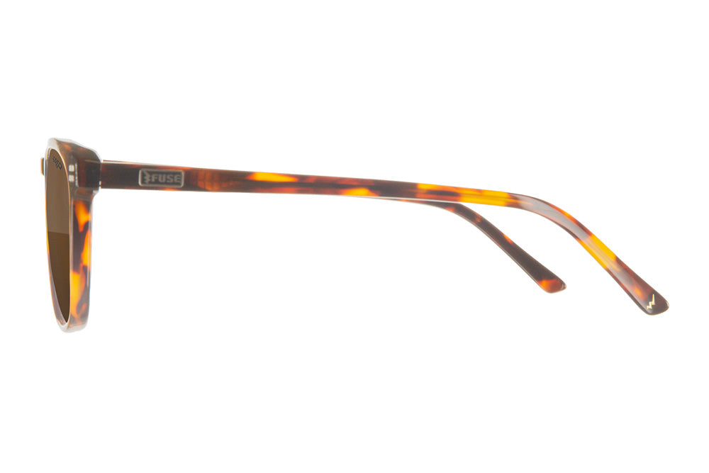 Gloss Tortoise Casey Frames with AMP Color Enhancing Brown Lenses ...